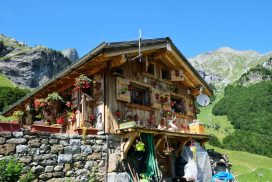 Tent Life: the Honest Pros and Cons of Long-Term Camping • Veggie Vagabonds