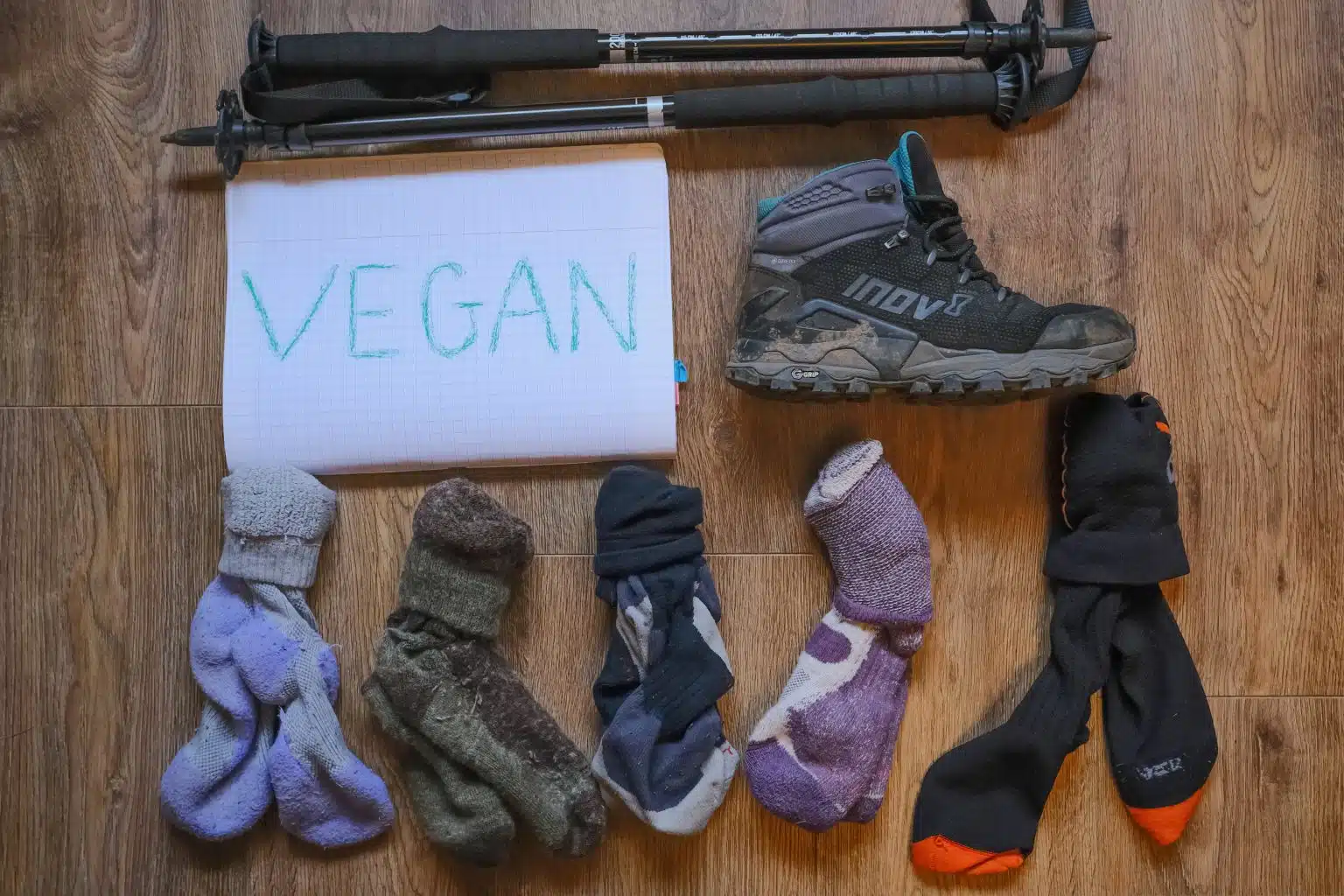 Best Vegan Hiking Socks 2024 I Running, Cycling, Wool-Free